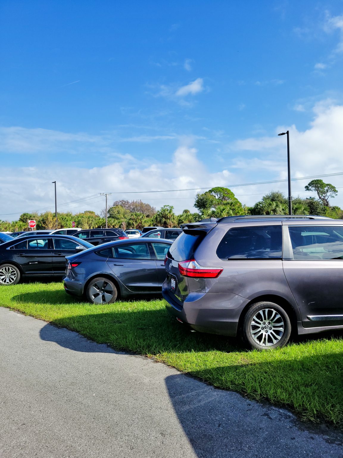 Your Guide to Port Canaveral Cruise Terminal Parking | Park Now!